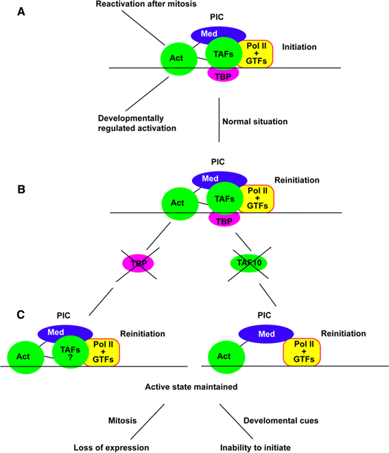 Recent advances in understanding the structure and function of general ...