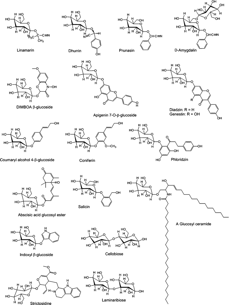 β-Glucosidases | SpringerLink