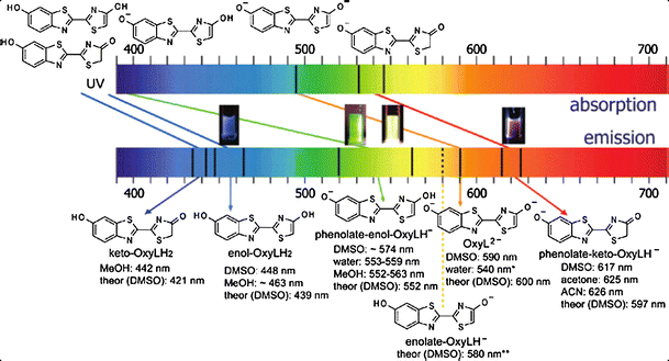 Molecular enigma of multicolor bioluminescence of firefly luciferase ...