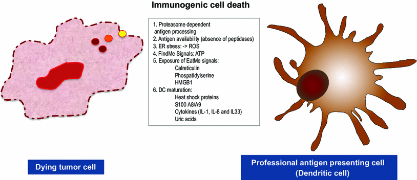 Immunogenicity of necrotic cell death | SpringerLink