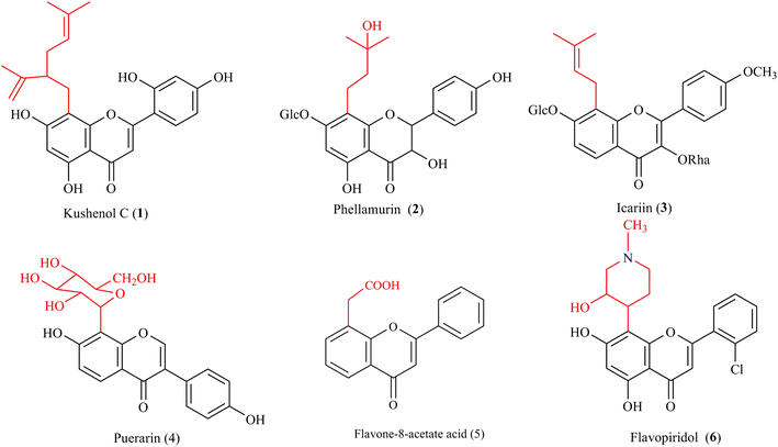Investigation on the substitution effects of the flavonoids as potent ...