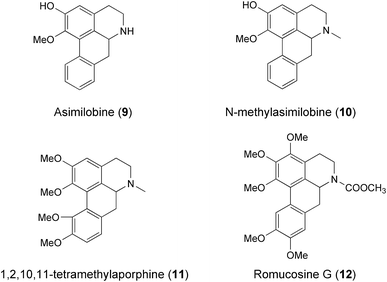 Synthesis and structure–activity relationship of nuciferine derivatives ...