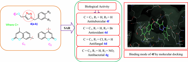 Synthesis, biological evaluation and molecular docking of novel ...