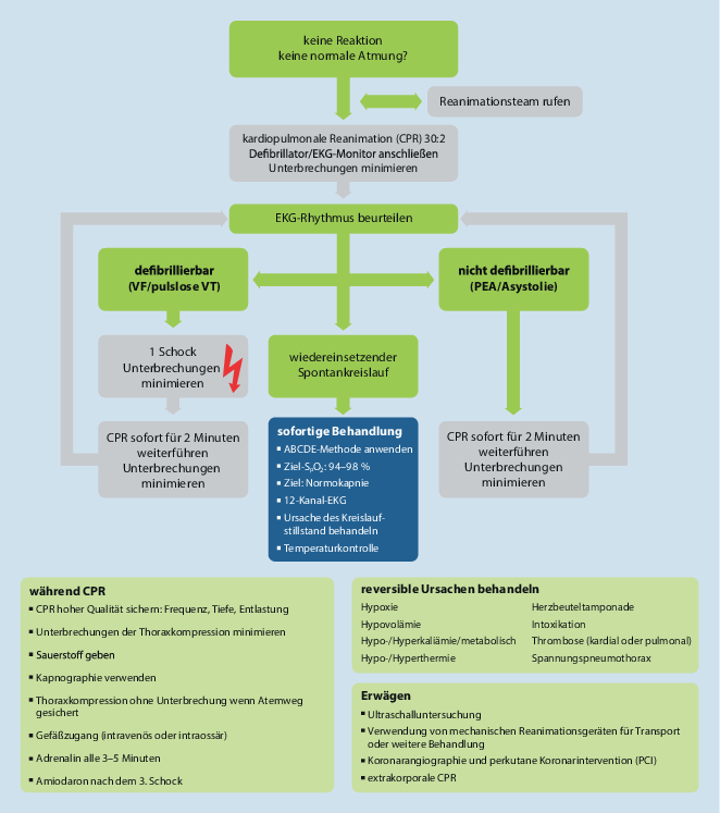 Reanimation 2015 – das sind die neuen Leitlinien | SpringerLink