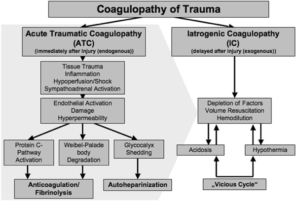 The coagulopathy of trauma | SpringerLink