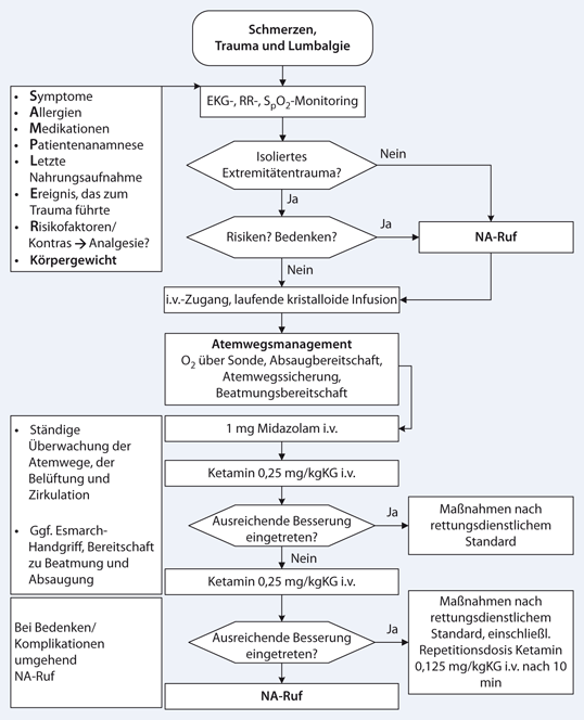 Prähospitale Analgosedierung durch Rettungsassistenten | SpringerLink