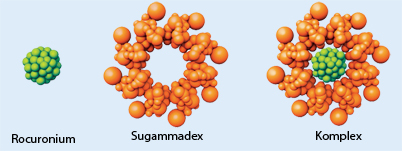 Rocuronium und Sugammadex in der Notfallmedizin | SpringerLink