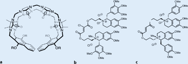 Update Muskelrelaxation | SpringerLink