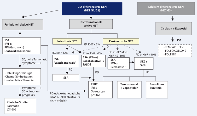 Metastasierte neuroendokrine Neoplasien | SpringerLink