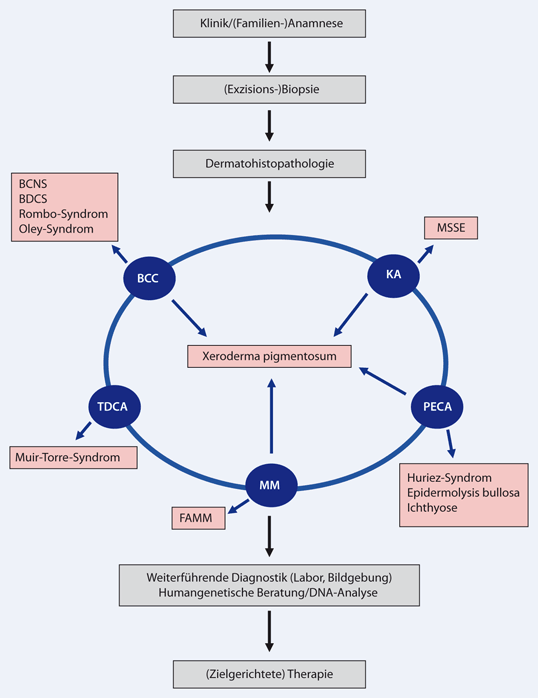 Genodermatosen mit malignen Hauttumoren | SpringerLink