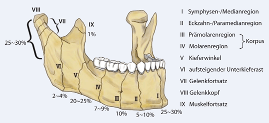 Frakturen von Maxilla und Mandibula | SpringerLink