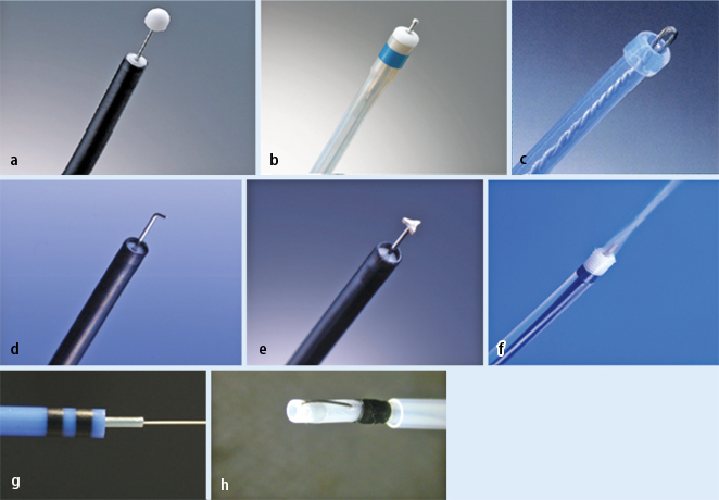 Endoskopische Submukosadissektion | SpringerLink