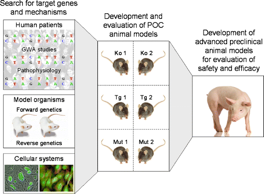 Transgenic pigs as models for translational biomedical research ...