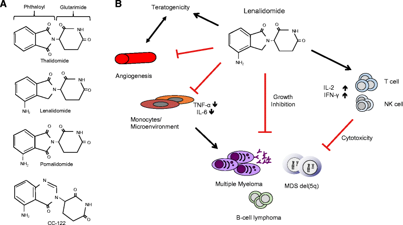 The molecular mechanism of thalidomide analogs in hematologic ...
