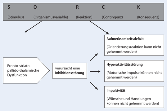 Diagnostik und Therapie von Aufmerksamkeitsstörungen | SpringerLink