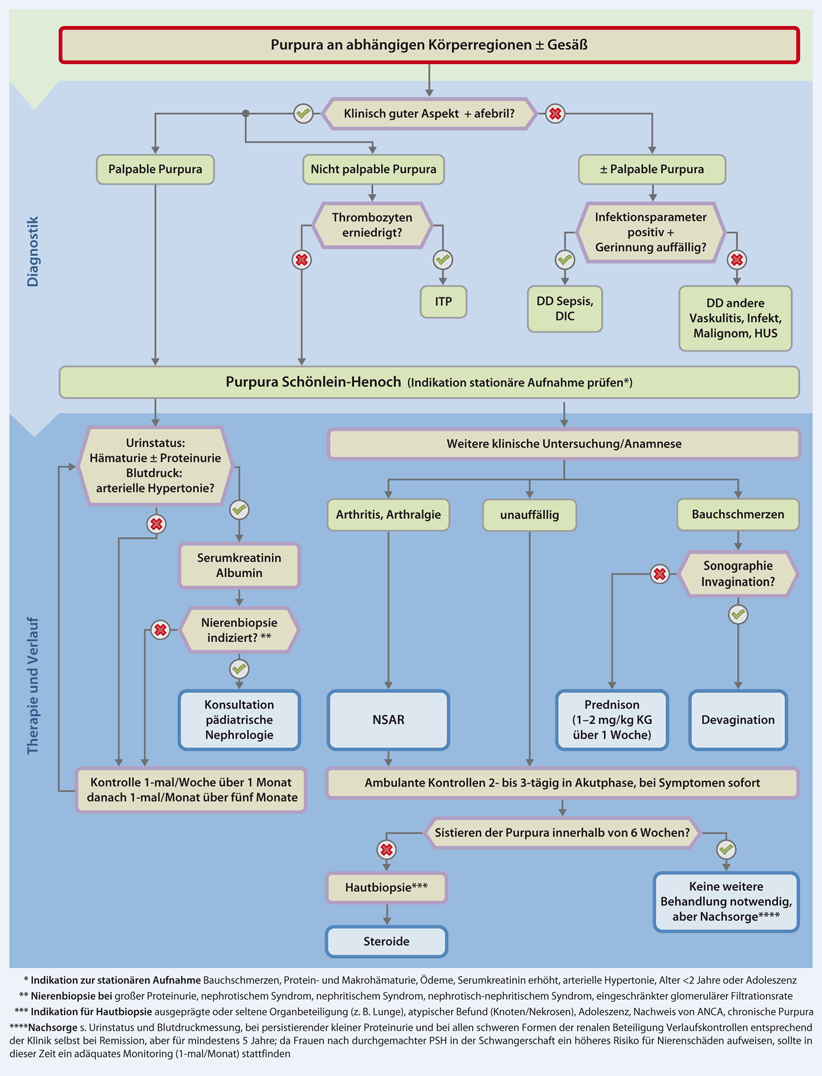 Handlungsempfehlung nach der Leitlinie „Purpura Schönlein-Henoch ...