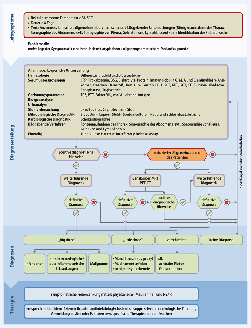 Handlungsempfehlung nach der Leitlinie „Fieber unklarer Genese ...