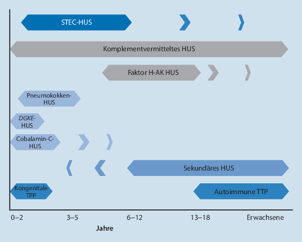 Hämolytisch-urämisches Syndrom im Kindes- und Jugendalter | SpringerLink