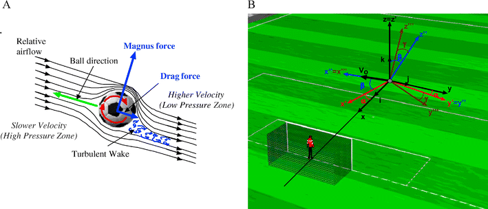 Judging where a ball will go: the case of curved free kicks in football ...