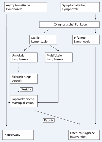 Lymphozele nach radikaler retropubischer Prostatektomie | SpringerLink