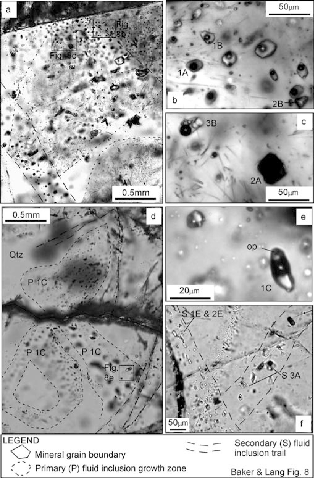 Reconciling fluid inclusion types, fluid processes, and fluid sources ...