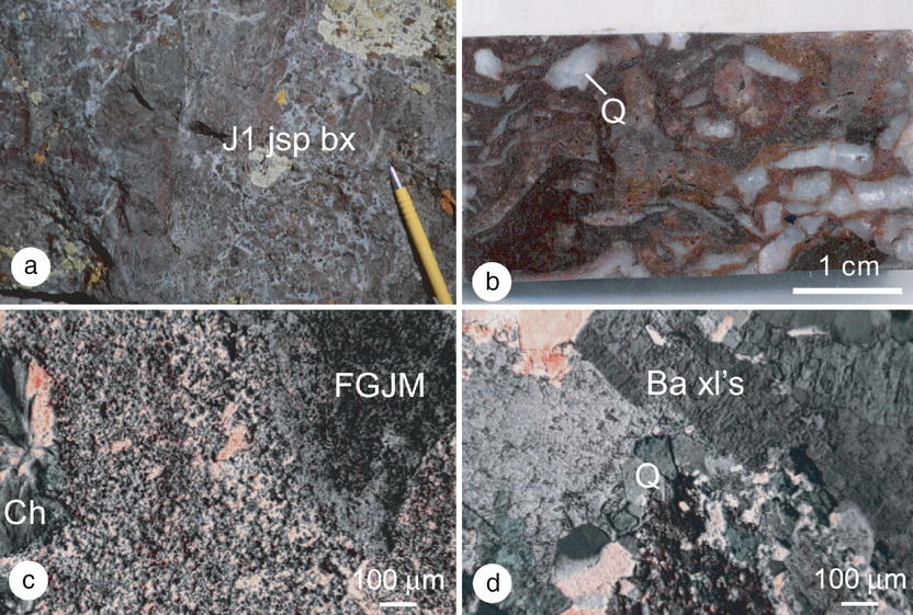 Geology and geochemistry of jasperoids from the Gold Bar district ...