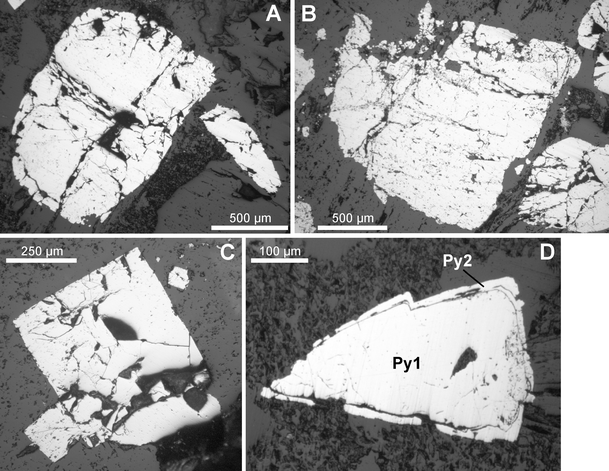 Trace-element characteristics of different pyrite types in Mesoarchaean ...