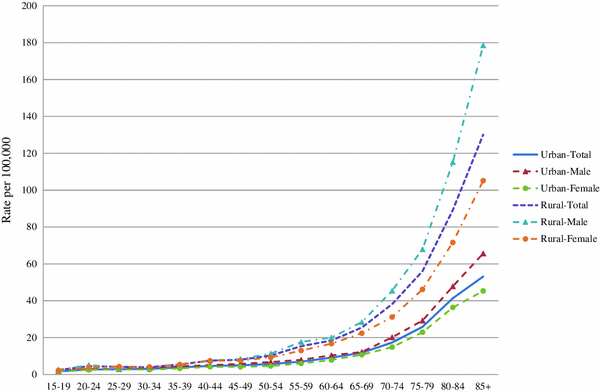 Suicide rates in China from 2002 to 2011: an update | SpringerLink