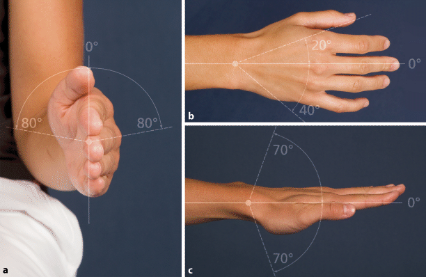 Klinische Untersuchung des Handgelenkes und der Hand | SpringerLink