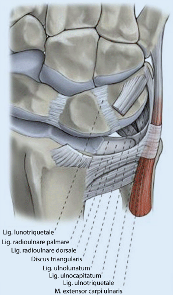 Diagnostik und Therapie der degenerativen Diskusläsion | SpringerLink