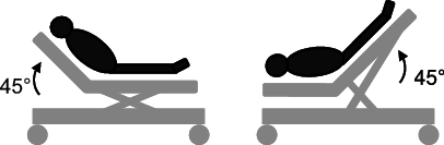 Passive leg raising | SpringerLink