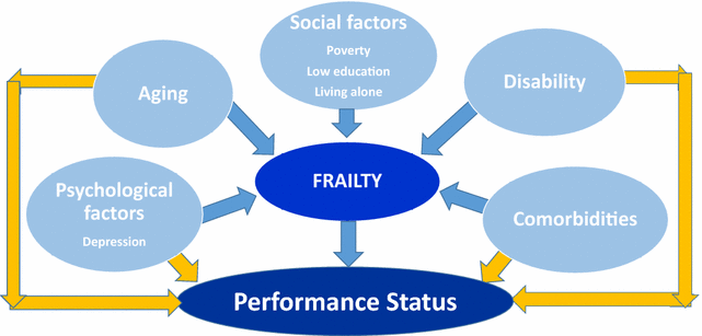 What were you able to do in your daily life? Performance status for the ...