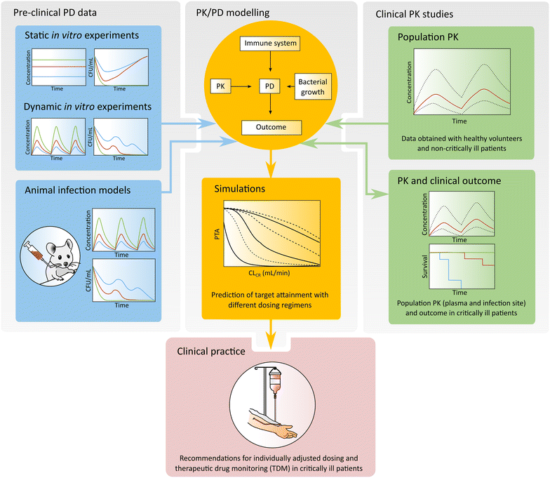 The role of infection models and PK/PD modelling for optimising care of ...