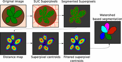 Leaf segmentation in plant phenotyping: a collation study | SpringerLink