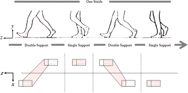Backward walking simulation of humans using optimization | SpringerLink