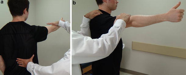 The role of the scapula in preventing and treating shoulder instability ...