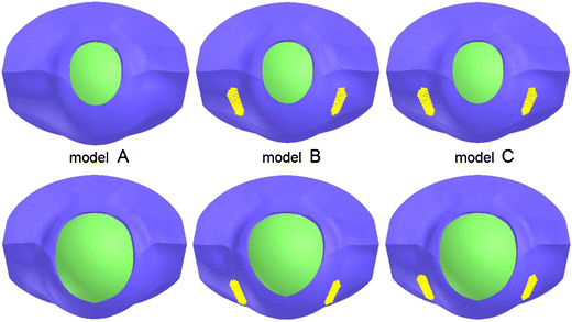 Modeling manual perineal protection during vaginal delivery | SpringerLink