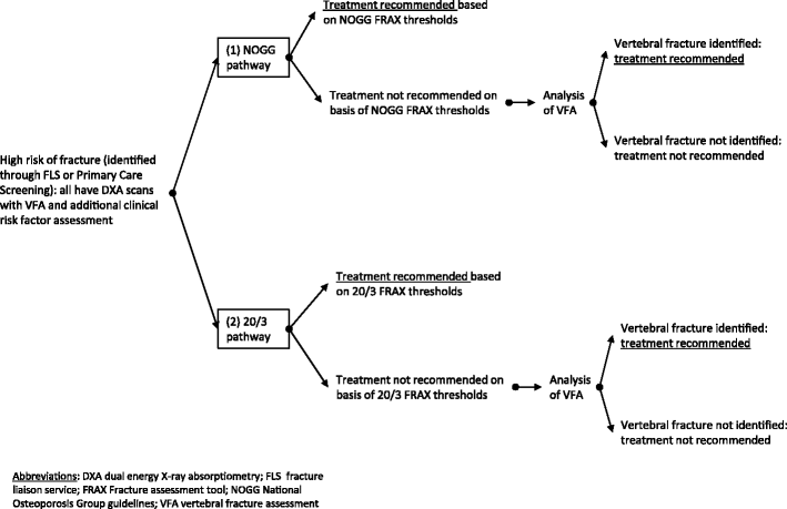 Vertebral fracture assessment (VFA) by lateral DXA scanning may be cost ...