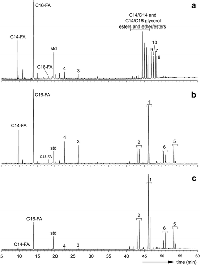 Structural characterization of diabolic acid-based tetraester ...
