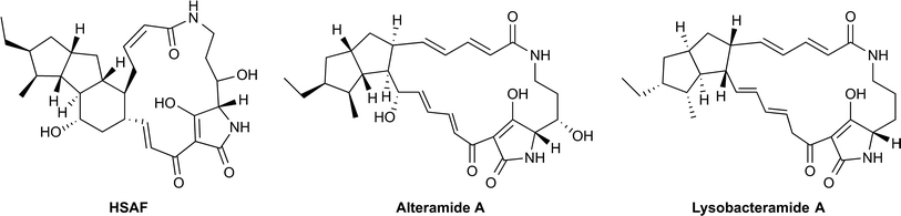 Lysobacter species: a potential source of novel antibiotics | SpringerLink