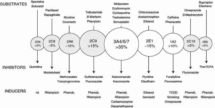 Inhibition and induction of human cytochrome P450 enzymes: current ...