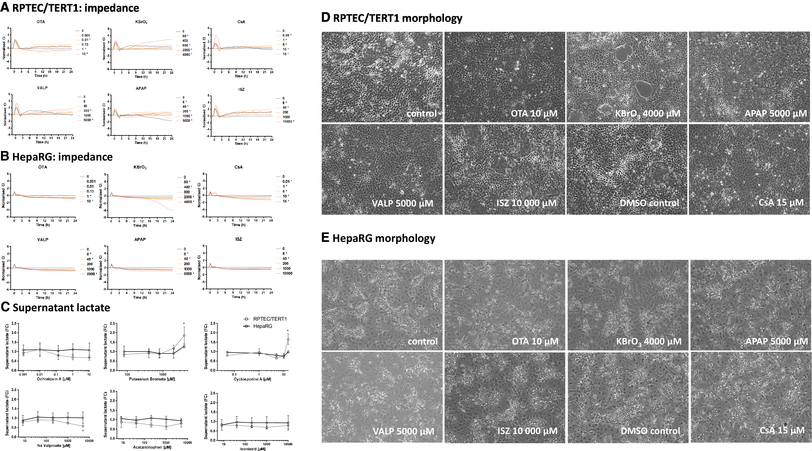 Comparison of base-line and chemical-induced transcriptomic responses ...