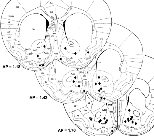 The rewarding effect of aggression is reduced by nucleus accumbens ...