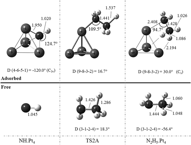 Hydrazine decomposition on a small platinum cluster: the role of N2H5 ...