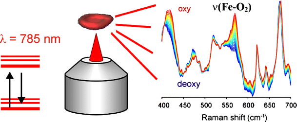 Resonance Raman spectroscopy of red blood cells using near-infrared ...