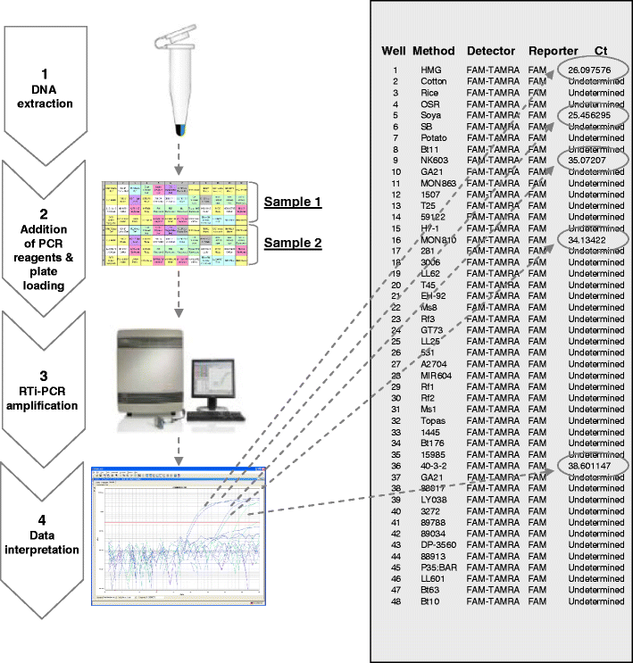 New approaches in GMO detection | SpringerLink