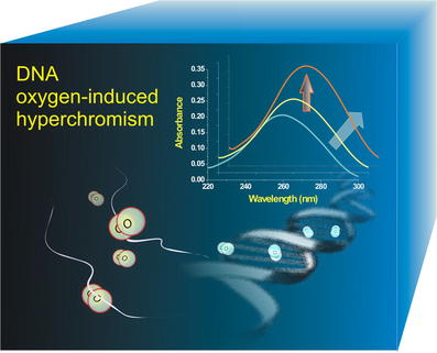 Spectrophotometric analysis of nucleic acids: oxygenation-dependant ...