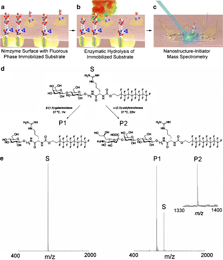 Recent advances in SALDI-MS techniques and their chemical and ...