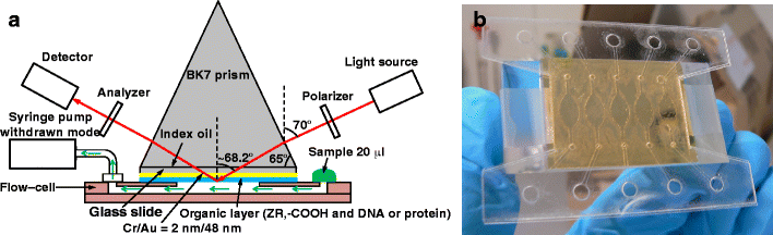 Total internal reflection ellipsometry as a label-free assessment ...