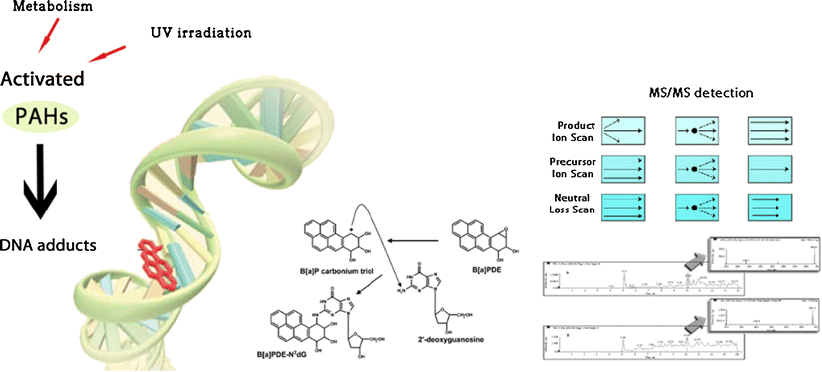 Neutral loss and precursor ion scan tandem mass spectrometry for study ...